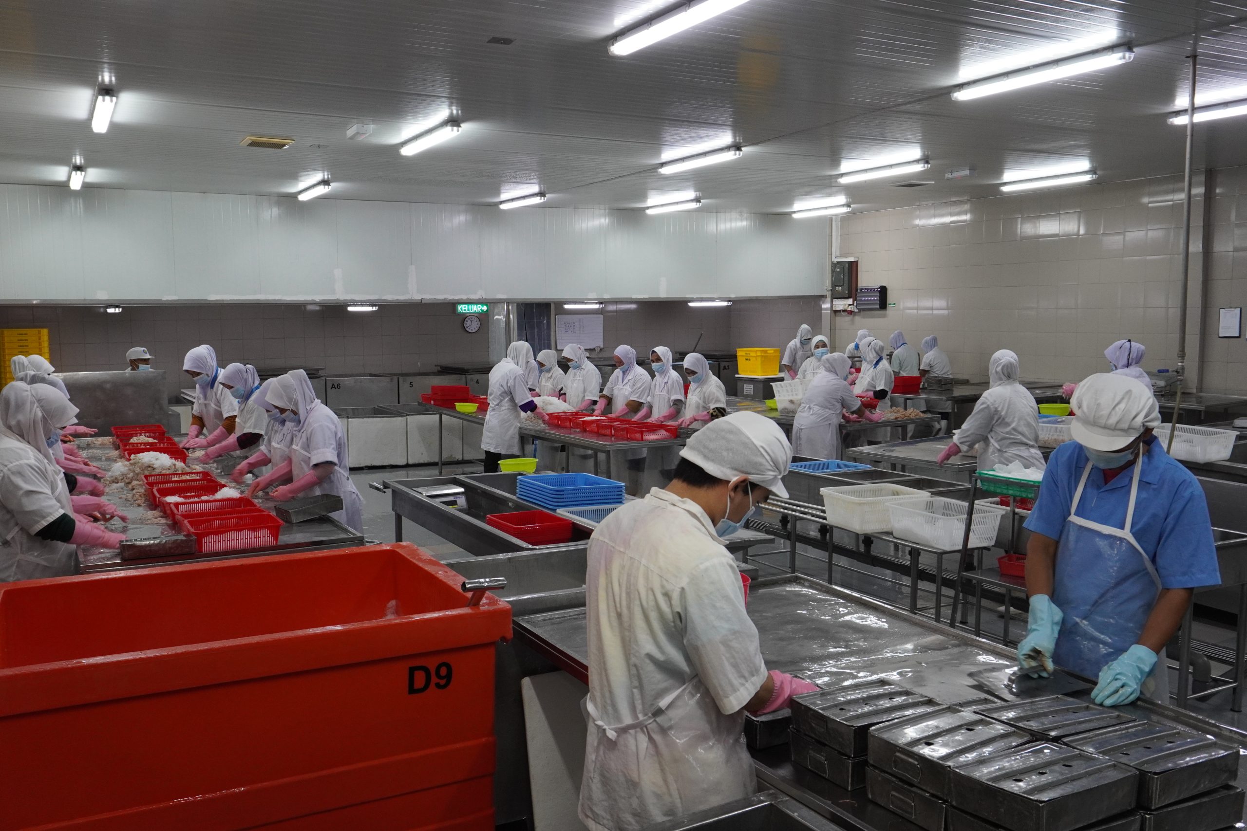 Special Seafood Orders - Sabah Sea Produce